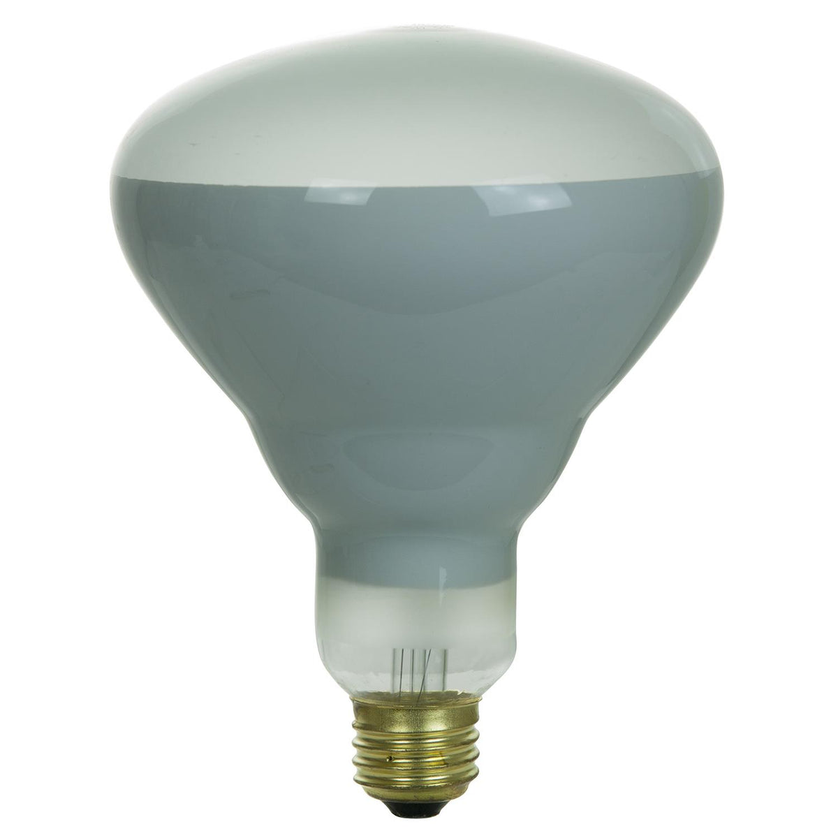 Incandescent - BR40 Reflector - 65 Watt - 550 Lumens - Warm White - 27 – lightingnbeyond.com