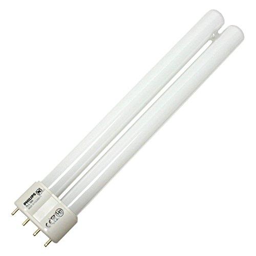Long 4 Pin – lightingnbeyond.com