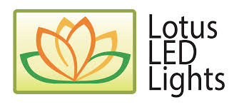 Lotus LED Lights – lightingnbeyond.com