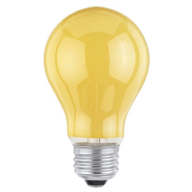 Westinghouse 0345200 60 Watt Incandescent A19 Specialty Bug - 2700 Kel ...