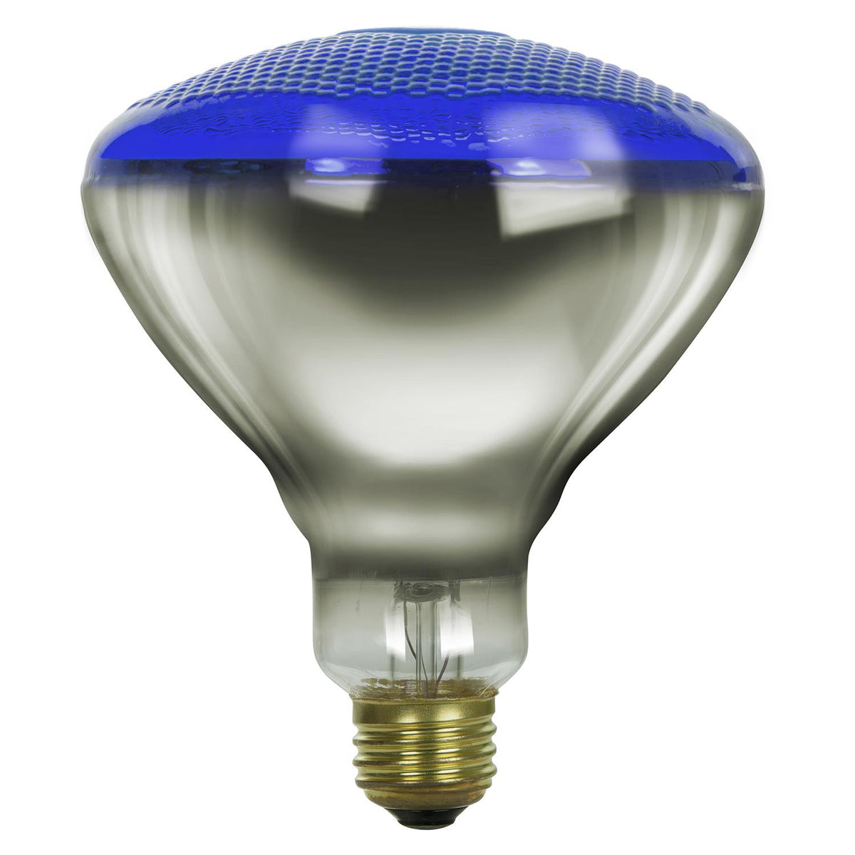 Incandescent - BR38 Colored Reflector - 100 Watt -Blue - Blue ...
